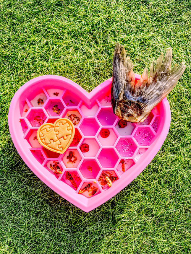 Heart Shaped Slow Feeder Enrichment – Bully Boutique’s Natural Treats