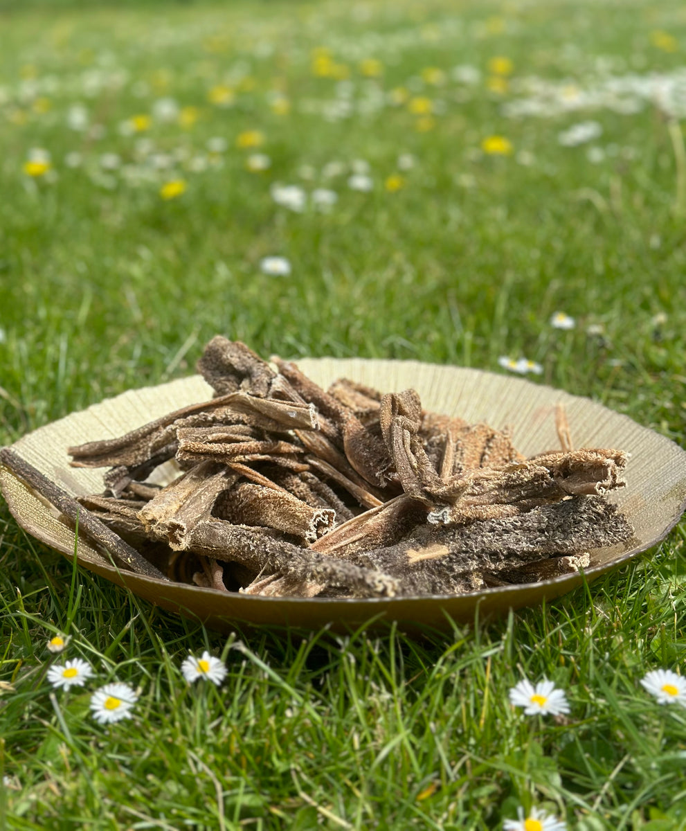 Premium Tripe Stick – Bully Boutique’s Natural Treats