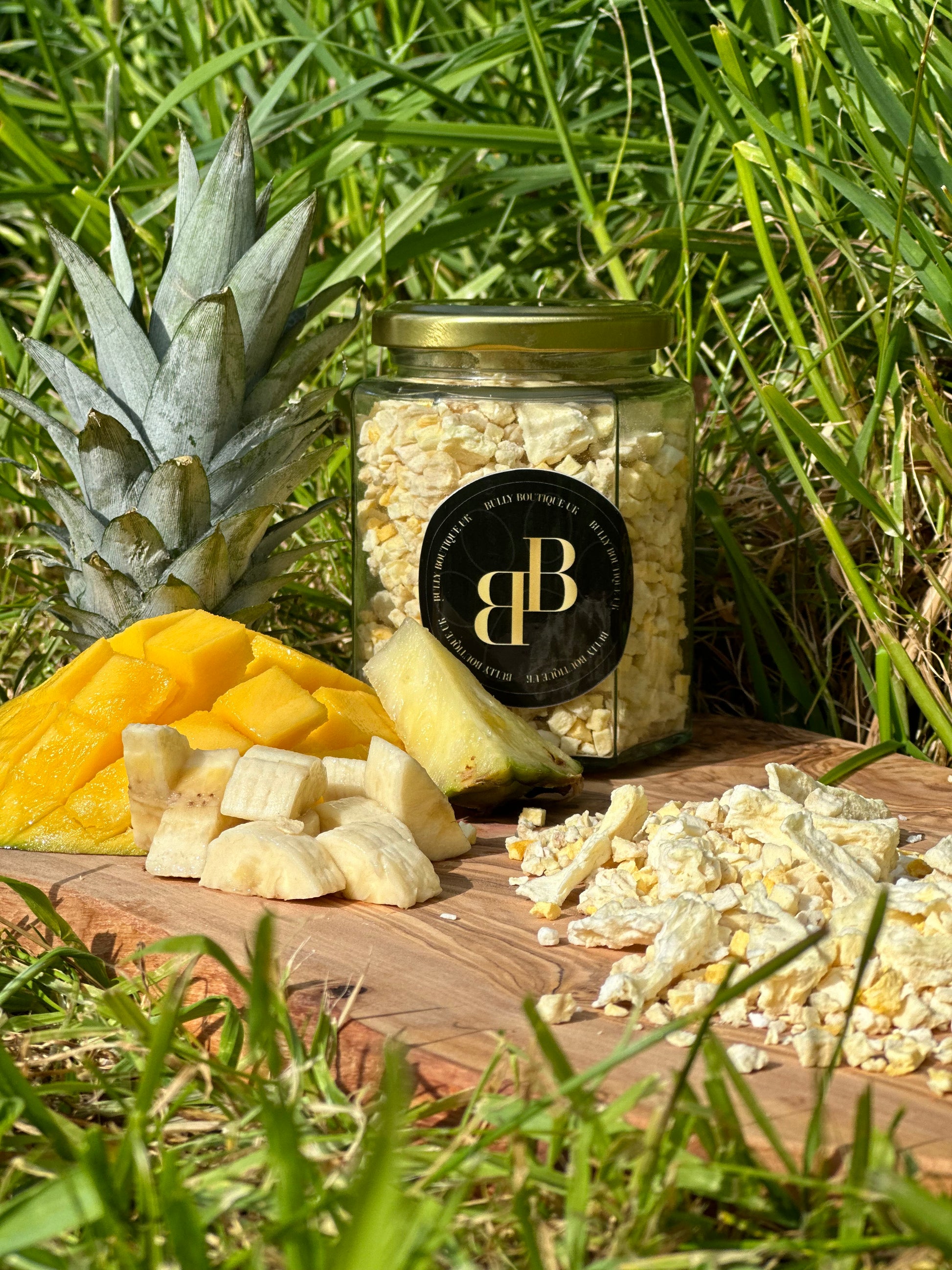 Premium Tropical Mix – Bully Boutique’s Natural Treats