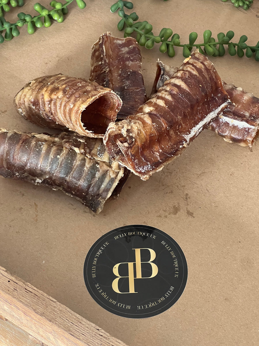 Wholesale Premium Beef Trachea 12cm – Bully Boutique’s Natural Treats