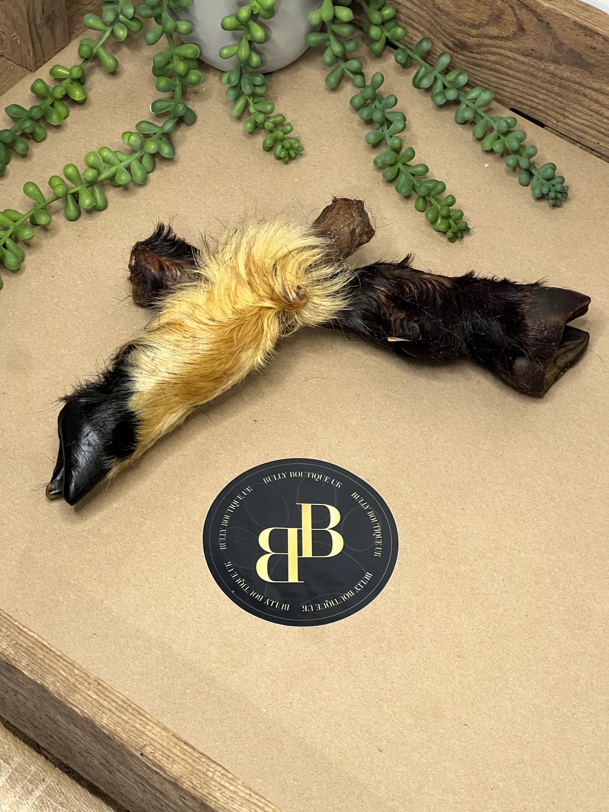 20 Premium Hairy Lamb Trotters – Bully Boutique’s Natural Treats